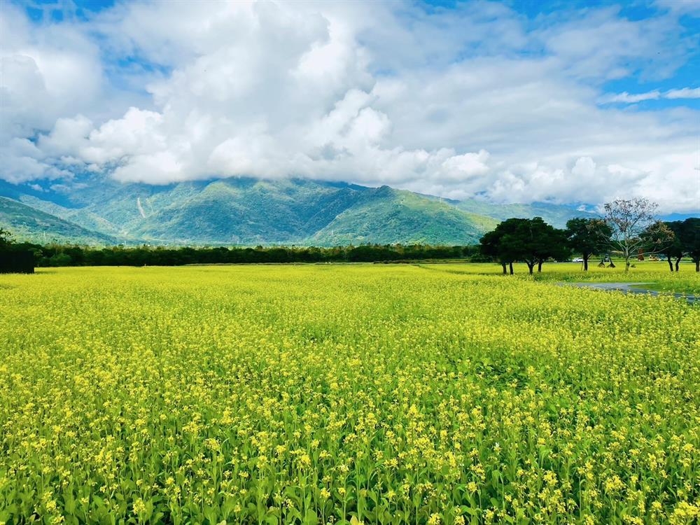 Experiences-Editor's Choice-Hualien Guangfu Tour Fataán Agriculture ...